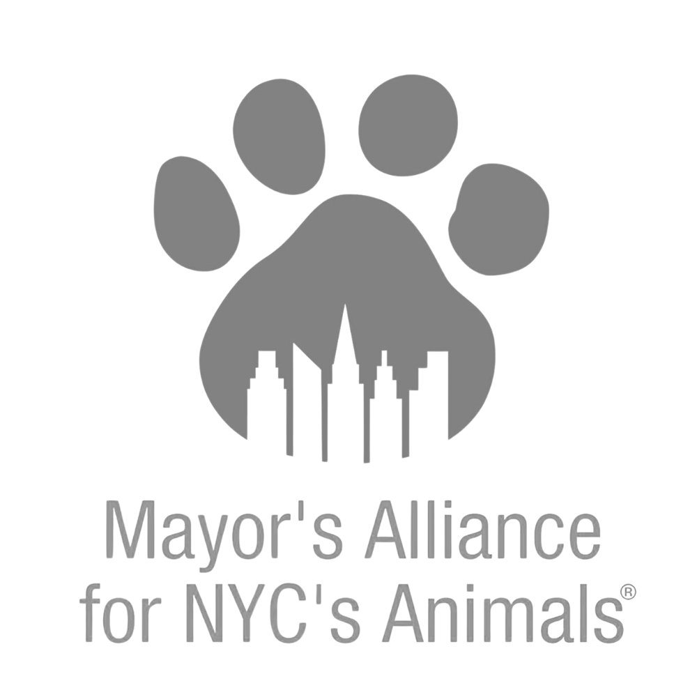 Voicemail Service & Voicemail Number | Voicemail Office